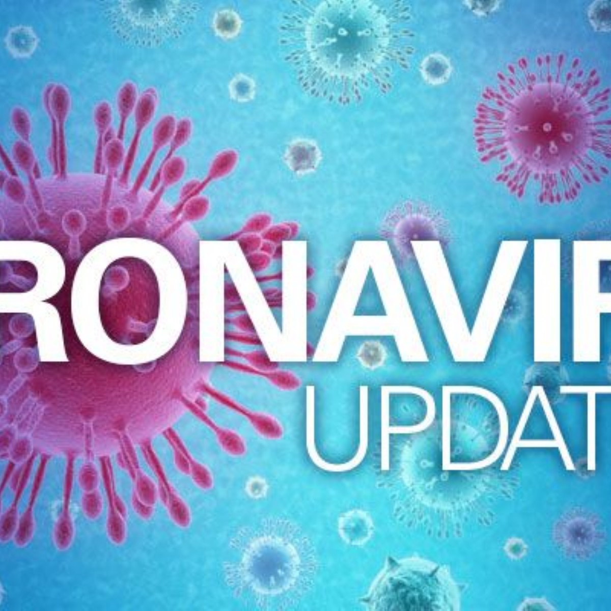 Nathaniel Newton Infant School - Item Not Available